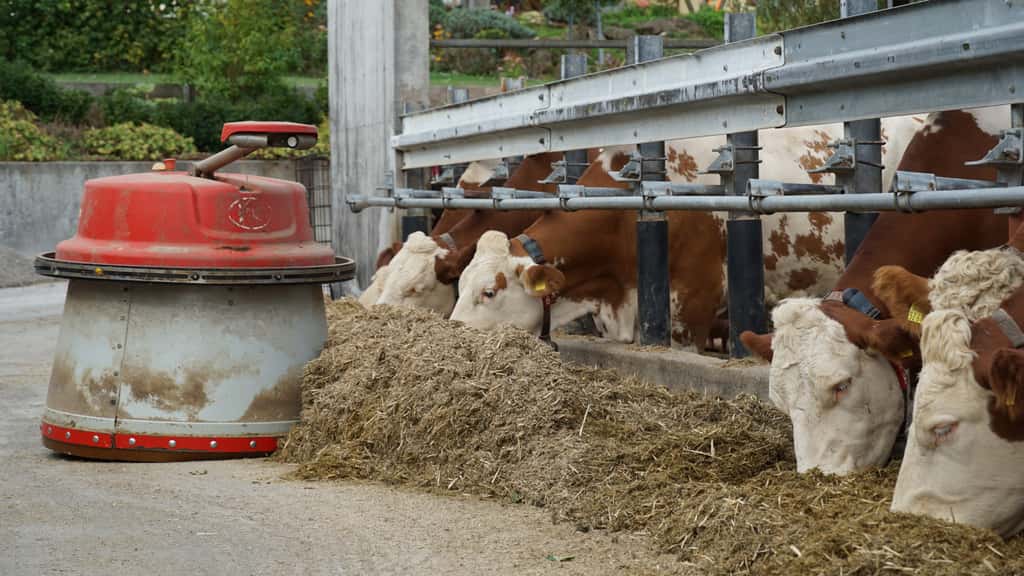 Landwirte berichten: So funktionieren die automatischen ...