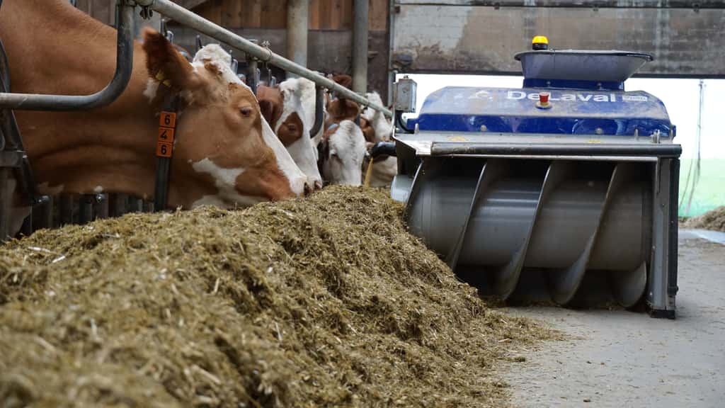 Landwirte berichten: So funktionieren die automatischen ...