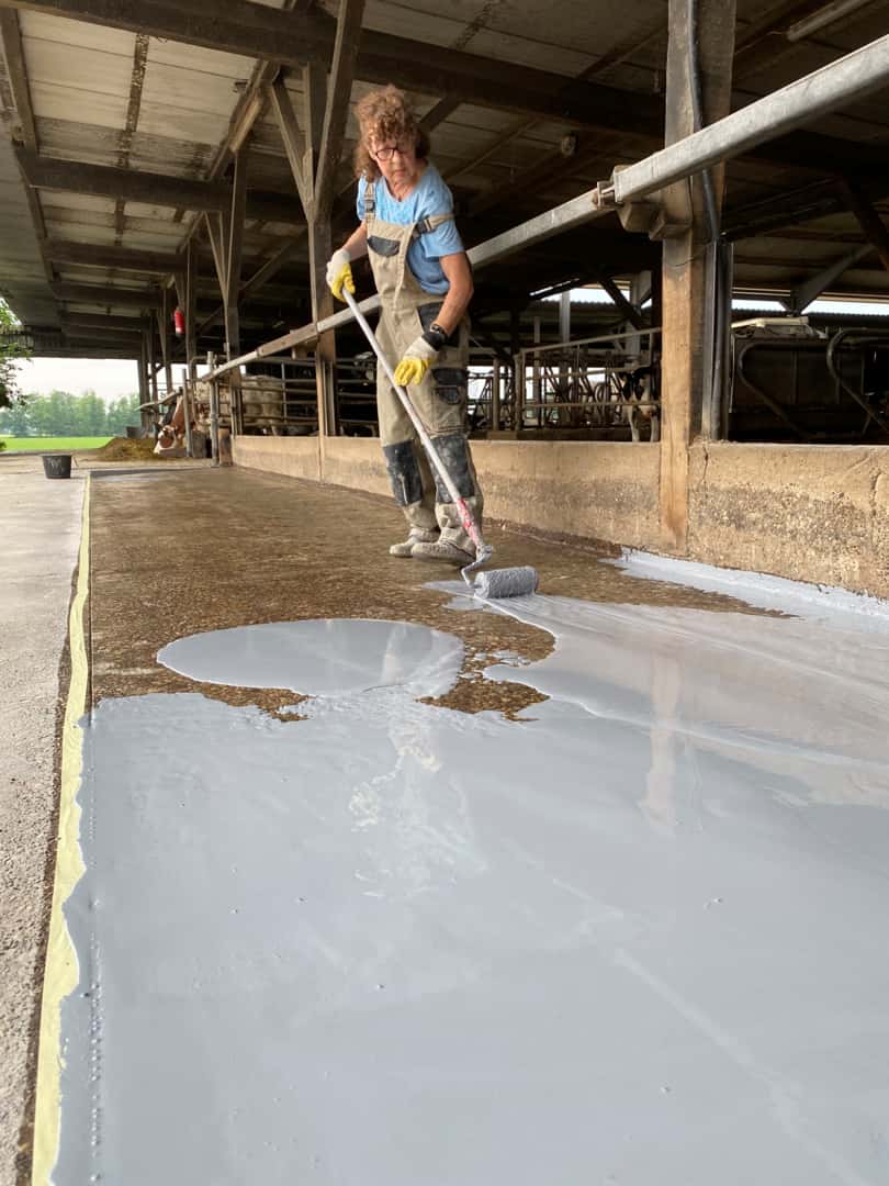 Rinderfütterung optimieren: Tipps für die Sanierung - mit Kunstharz ...