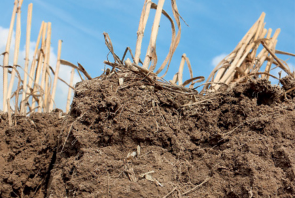 Ratgeber: Alles was Landwirte zum Humus im Boden wissen müssen