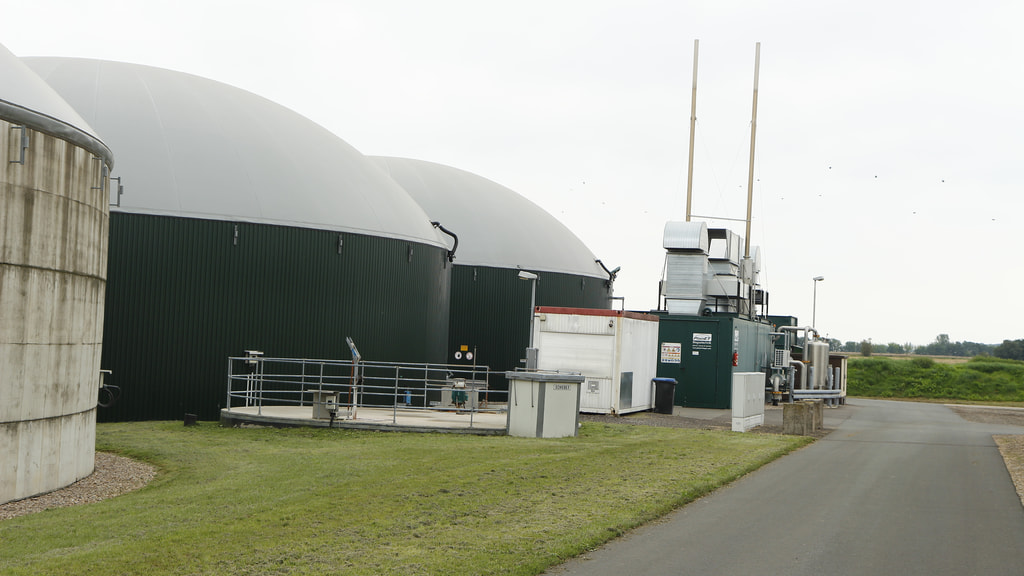 Biomasse ist im Ländle wichtigste erneuerbare Stromquelle