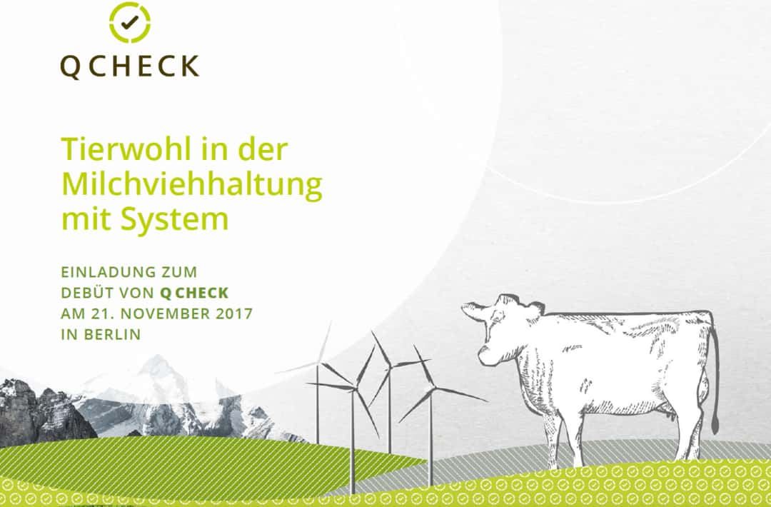 Projekt „Q Check“ fasst Tierwohl-Daten zusammen