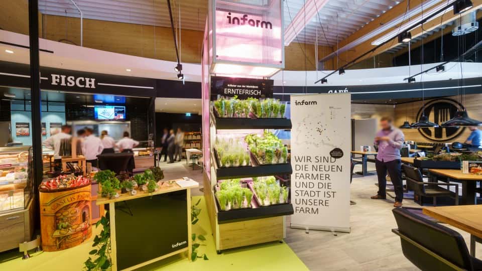 Edeka Minden testete erfolgreich indoor-farming im Raum Berlin