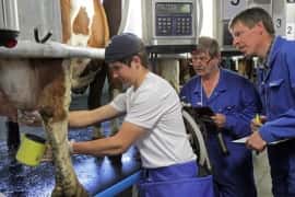 Deutschland sucht den „Super-Melker“