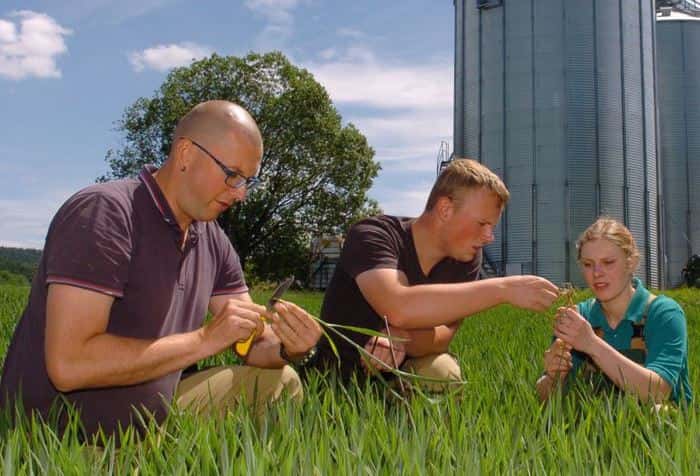 Ausbildung zum Landwirt in Niedersachsen weiter sehr beliebt