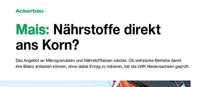 Mais: Nährstoffe direkt ans Korn?