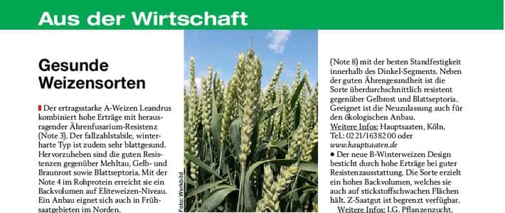 Gesunde Weizensorten