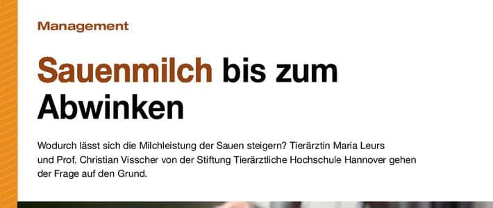 Sauenmilch bis zum Abwinken