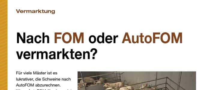Nach FOM oder AutoFOM vermarkten?
