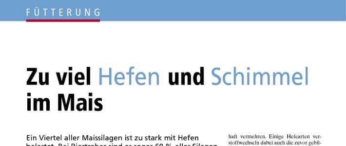 Die besten Tipps von Silier-Profis