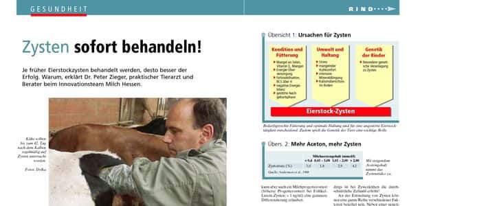 Wie eine Zyste entsteht