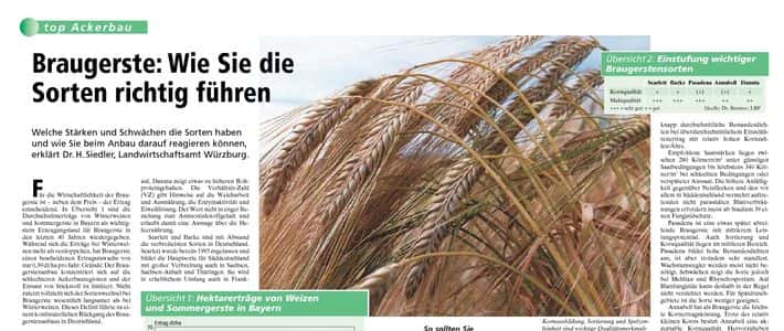 Braugerste: Wie Sie die Sorten richtig führen