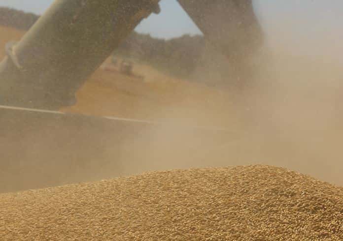 Matif-Weizen erreicht Dreijahreshoch