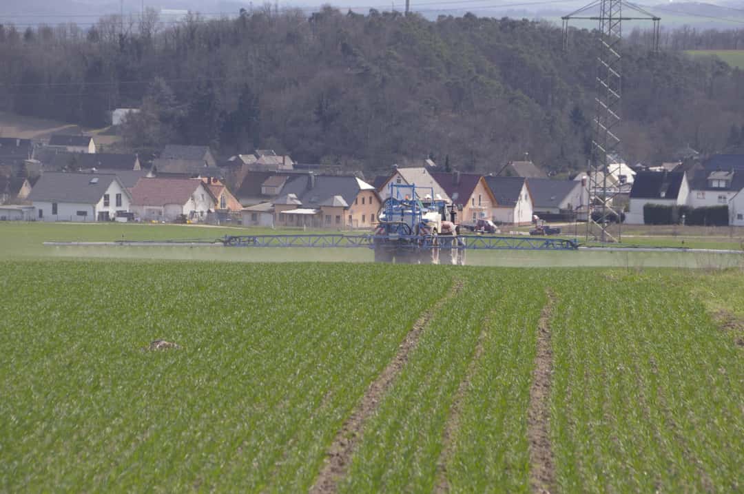 Innovation: Bayers neues Herbizid bekämpft Ackerfuchsschwanz ...