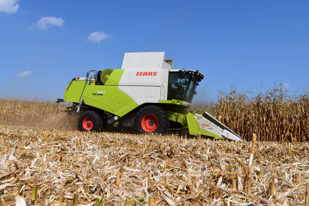 Agrarbörse im Überblick: Preise für Weizen, Raps, Mais, Kartoffel, Milch