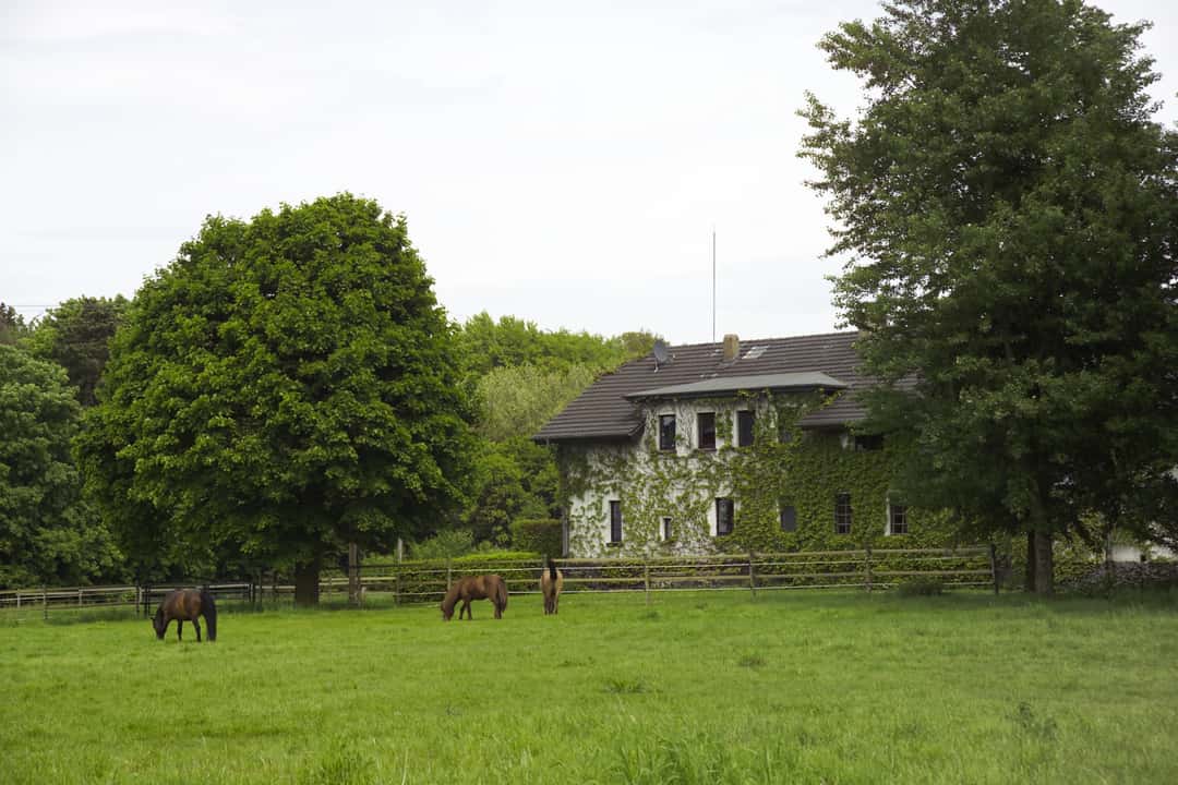 Landflucht war gestern: Ländlicher Raum bei Binnenwanderung der Gewinner