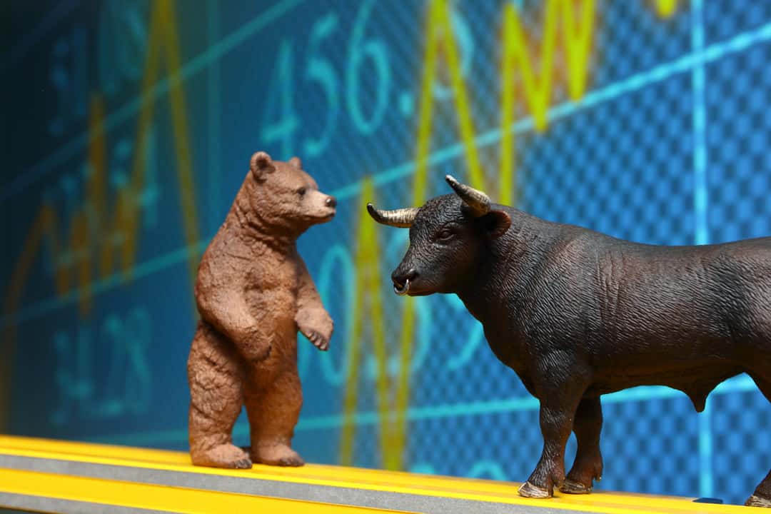 Agrarbörse im Überblick: Preise für Weizen, Raps, Mais, Kartoffel, Milch