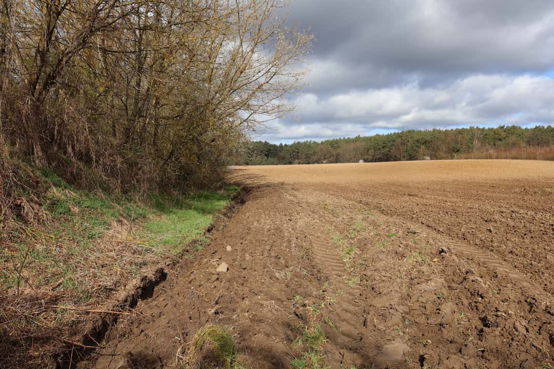 BVVG-Vergabe: Ost-Agrarverbände toben: Bund verschleudert BVVG-Ackerflächen