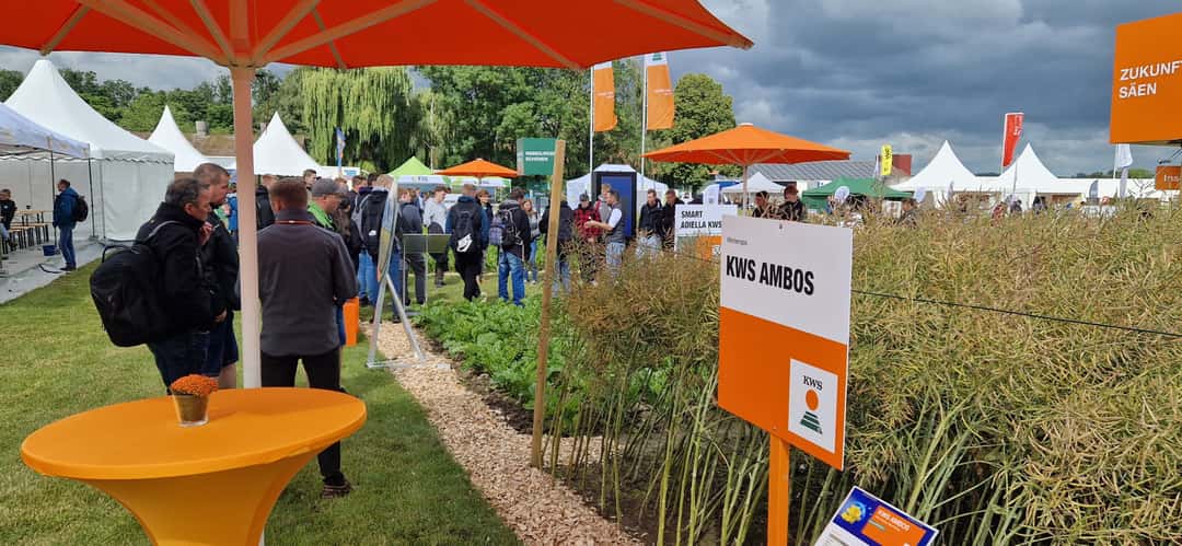 Das sind die zahlreichen Neuheiten von KWS | top agrar online