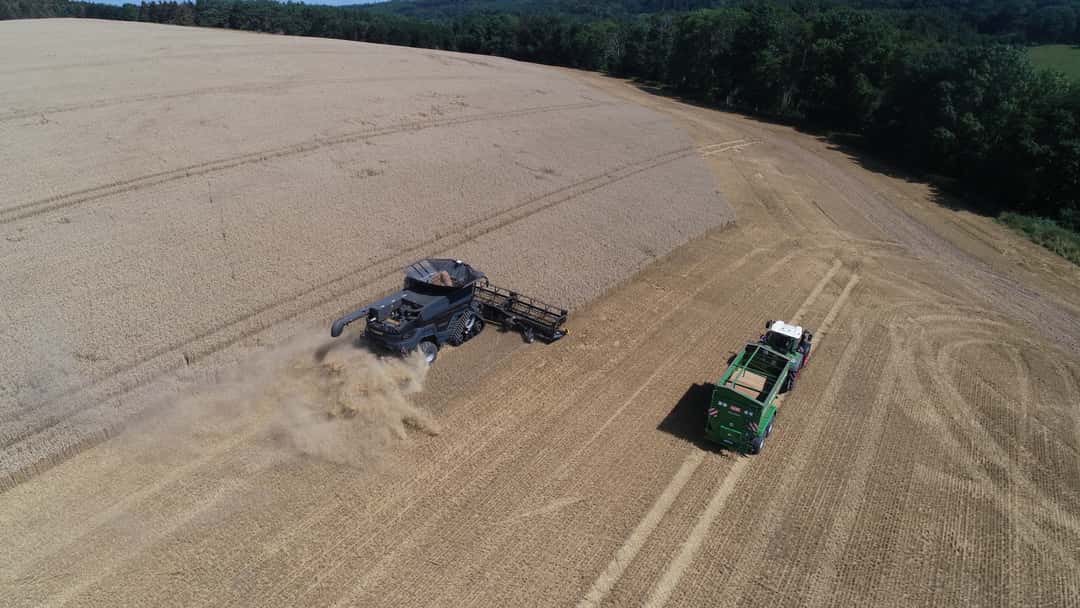 Weizen, Gerste, Raps, Dünger: So entwickeln sich die Preise und Kurse