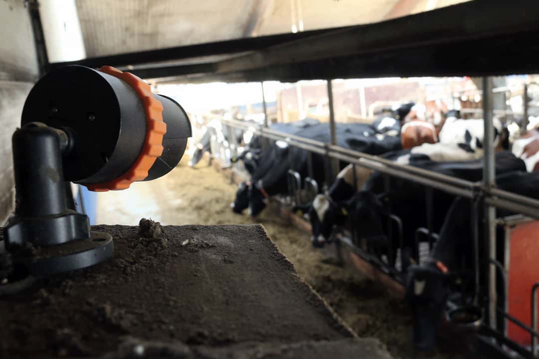 Luda.Farm FarmCam Flex 5MP - Einfache Überwachungskamera ohne WLAN