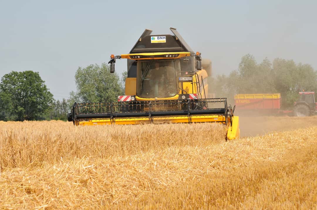 Gerstenernte im Nordosten liefert gut durchschnittliche Erträge