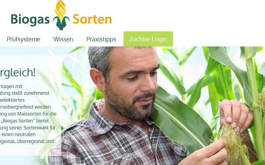 Neues Onlineportal für die Sortenwahl von Mais zur Biogasproduktion
