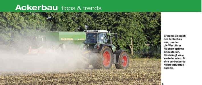 Raps: Die Kohlhernie-Gefahr steigt