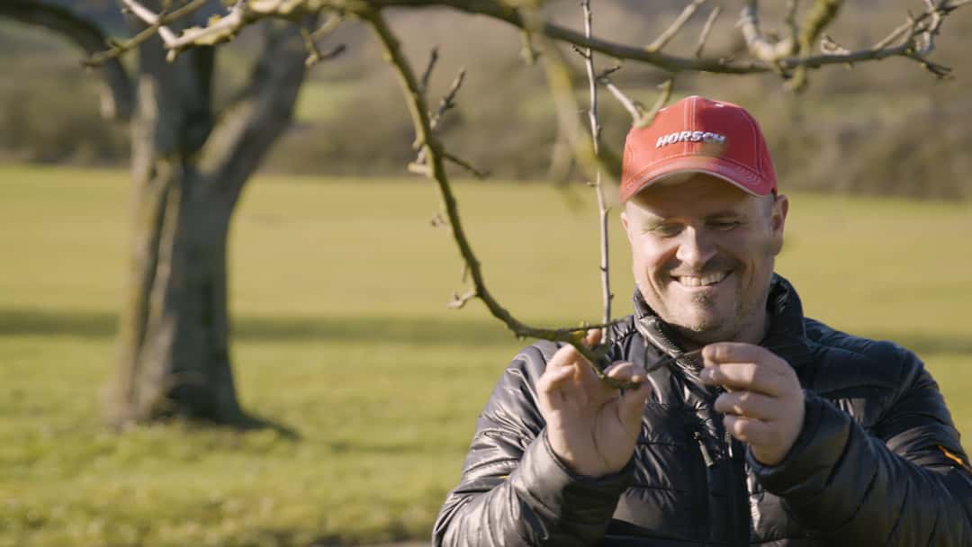 Bürger finanzieren Bäume für den Klimaschutz | top agrar online