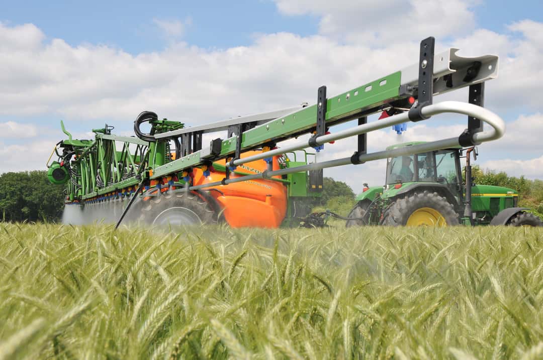 Roggen und Triticale: Gesund bis zur Ernte | top agrar online