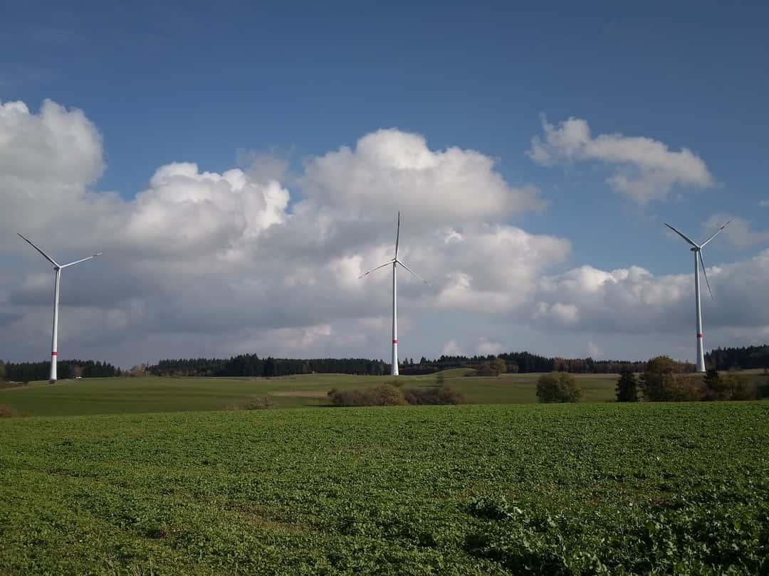Windräder stehen für den Rotmilan still | top agrar online