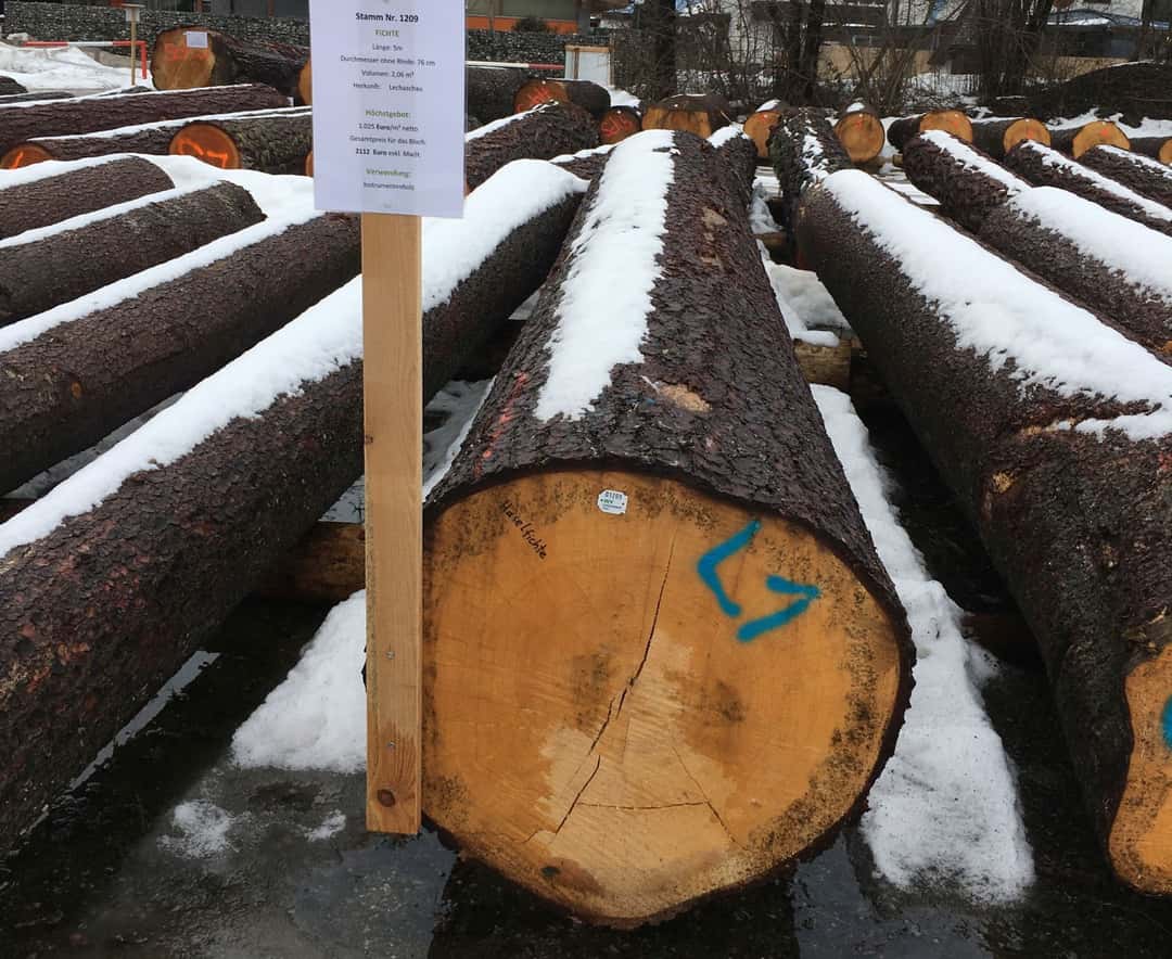 Rekordpreis für Haselfichte aus Tirol | top agrar online