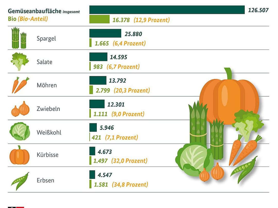 Dieses Gemüse wächst auf unseren Feldern | top agrar online