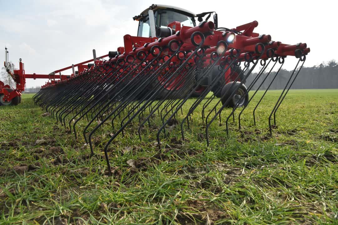 Videoreport: Erfahrungen mit Striegel und Hacke | top agrar online