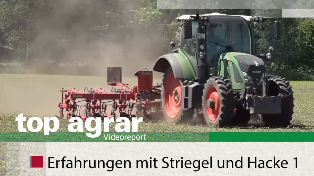 Video: Erfahrungen mit Striegel und Hacke Teil 1 | top agrar online
