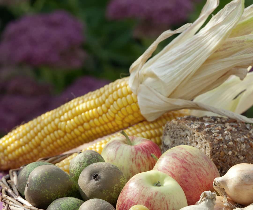 Landwirtschaft feiert Erntedank | top agrar online