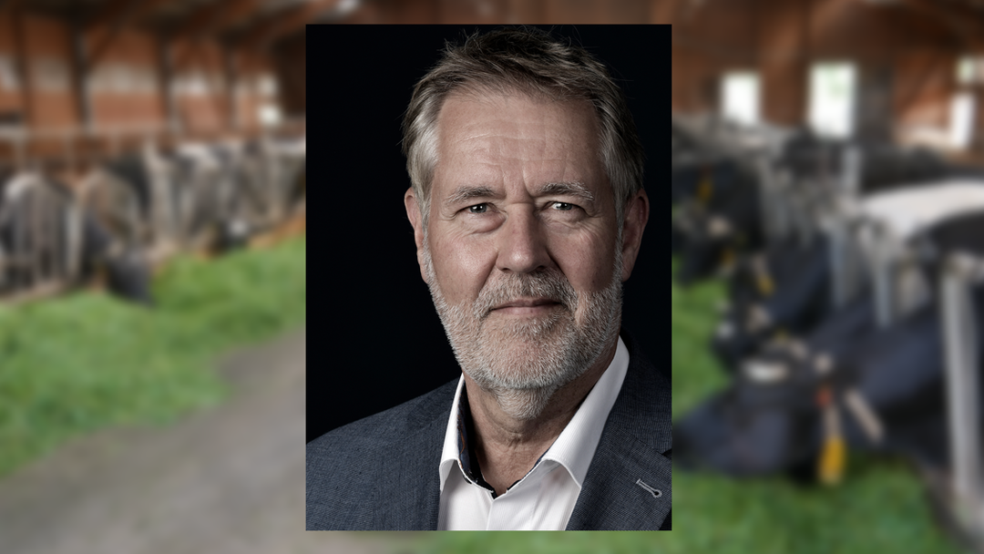 Prof. Windisch im Interview: Warum Kühe keine Klimakiller sind | top ...