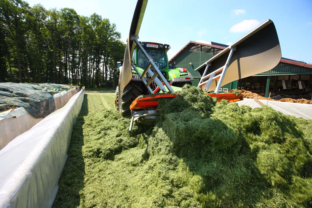 7 goldene Tipps: So gelingt hochwertige Grassilage | top agrar online