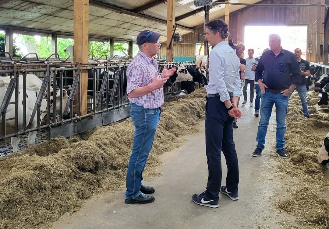 VfL Wolfsburg zu Gast auf Milchviehbetrieb | top agrar online