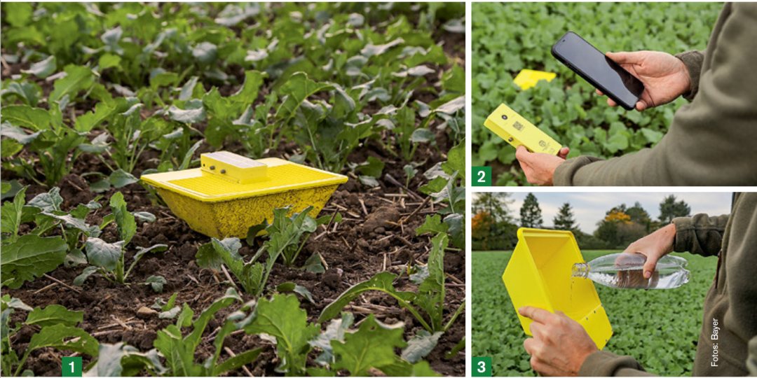 So bewerten Landwirte die MagicTrap als erste digitale Gelbschale