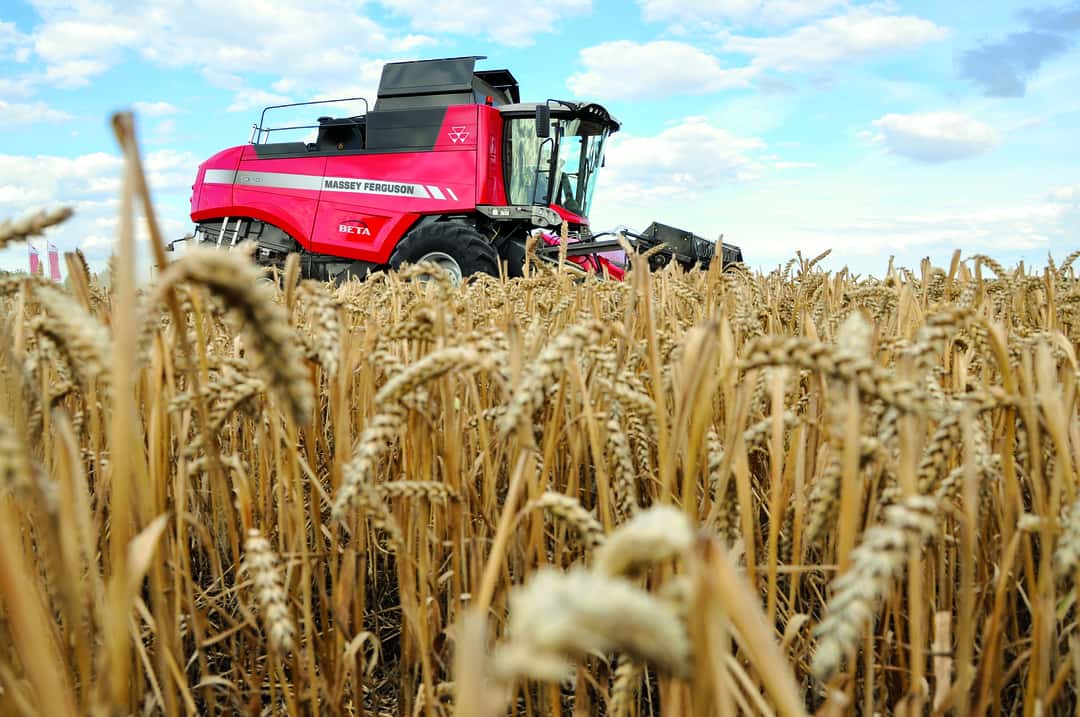 Wie sich der Anbau von Weizen und Raps rechnet | top agrar online