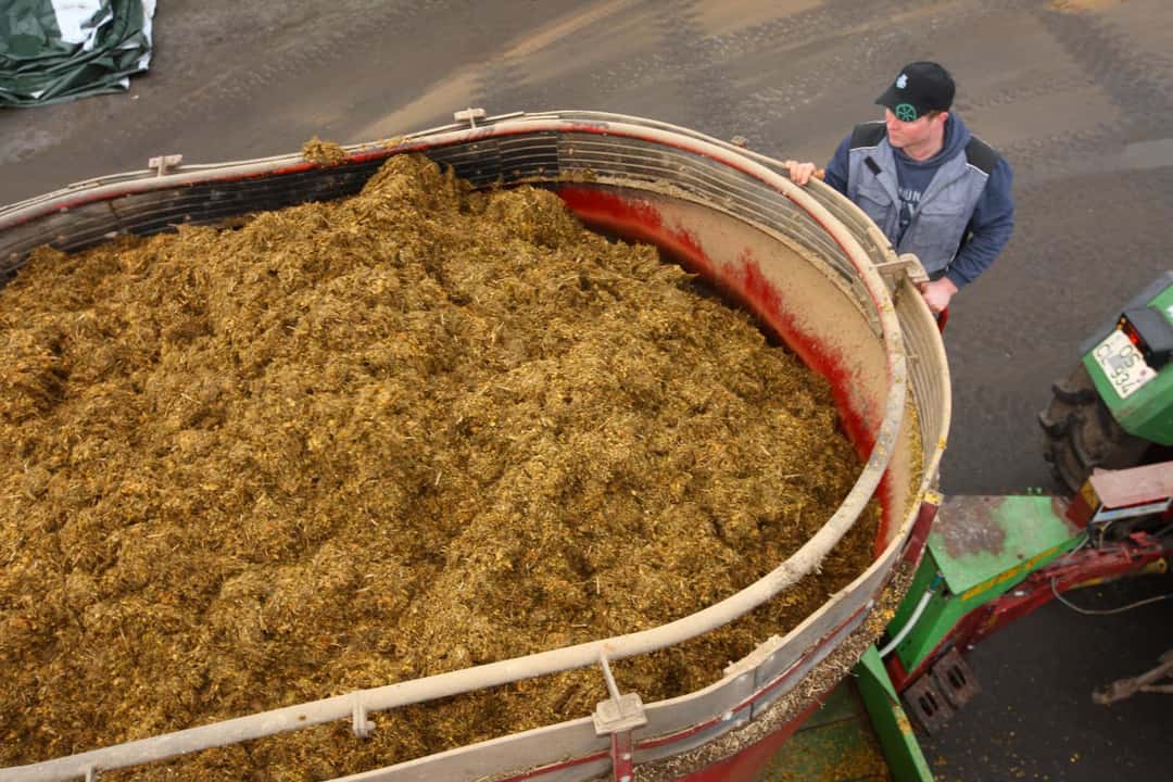 Anleitung Kompakt-TMR: So mischt ein Landwirt die Milchvieh-Ration