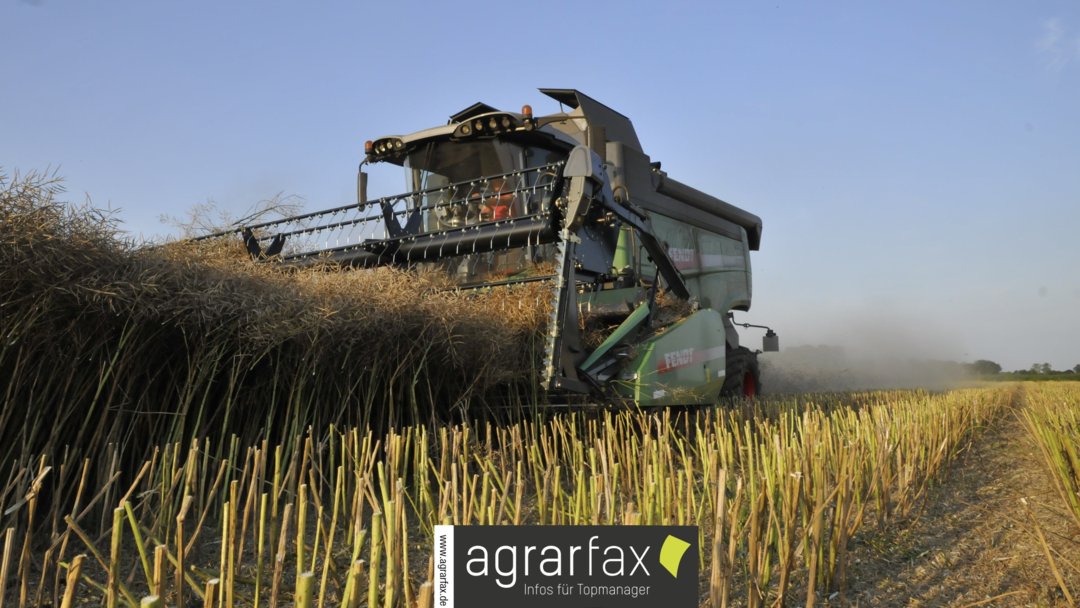 Raps und Getreide: Kurse stehen unter Druck, Vorverkäufe beachten