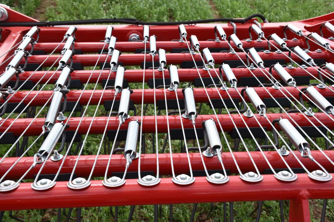 Hacke und Striegel gehören mit in den Pflanzenschutz-Werkzeugkasten | top agrar online