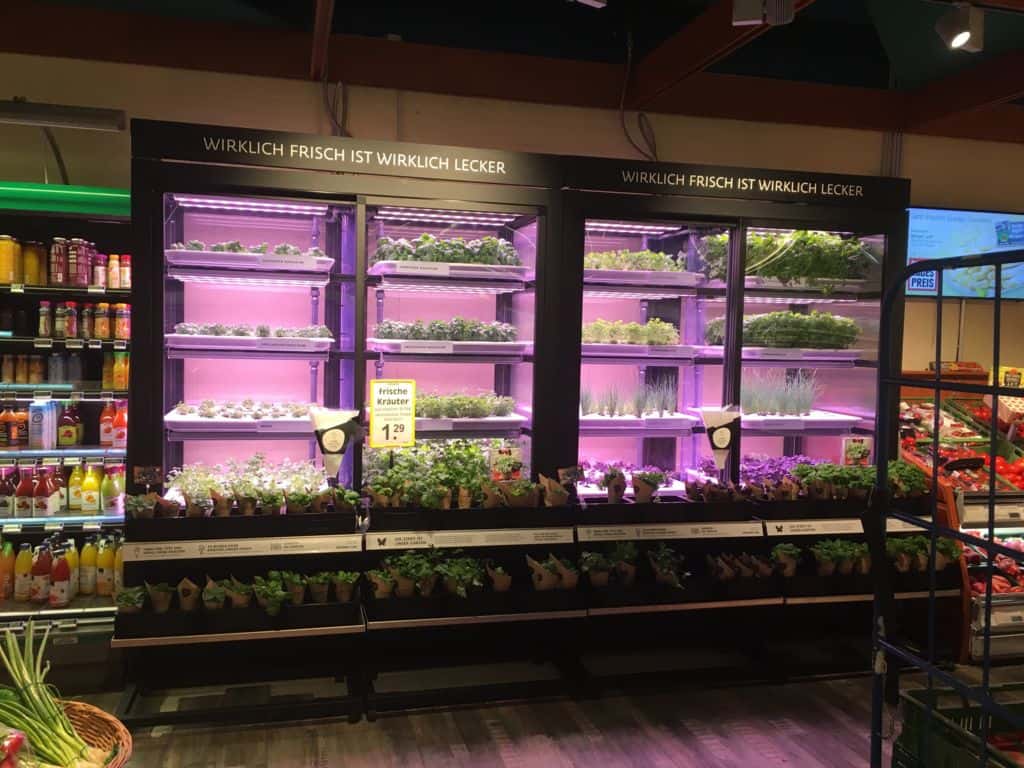 Wegen hoher Energiekosten: Vertical Farming Startup Infarm gibt in ...