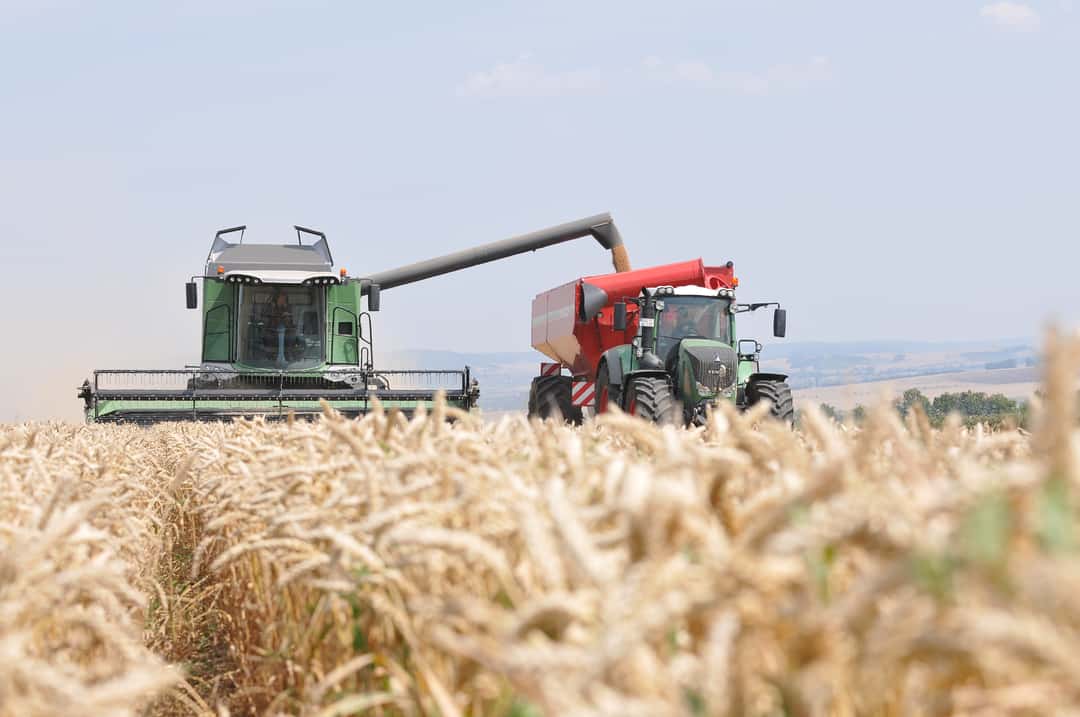 Webinar: So entwickeln sich die Getreide-, Raps- und Düngepreise weiter