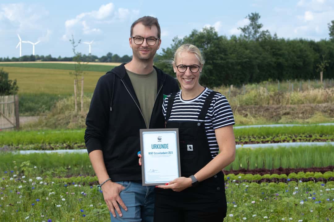 Ostseelandwirte 2023: Landwirtepaar erhält Umweltpreis für die ...