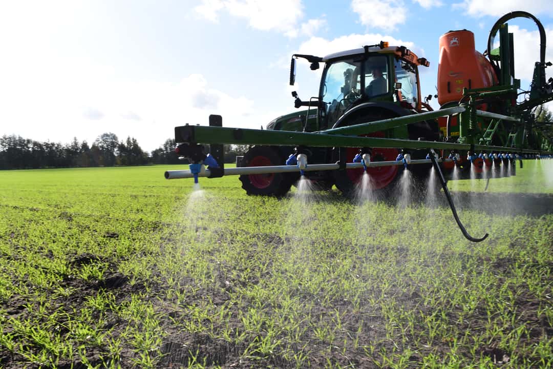 Pflanzenschutzmittel: So wirken Herbizide in Pflanzen | top agrar online