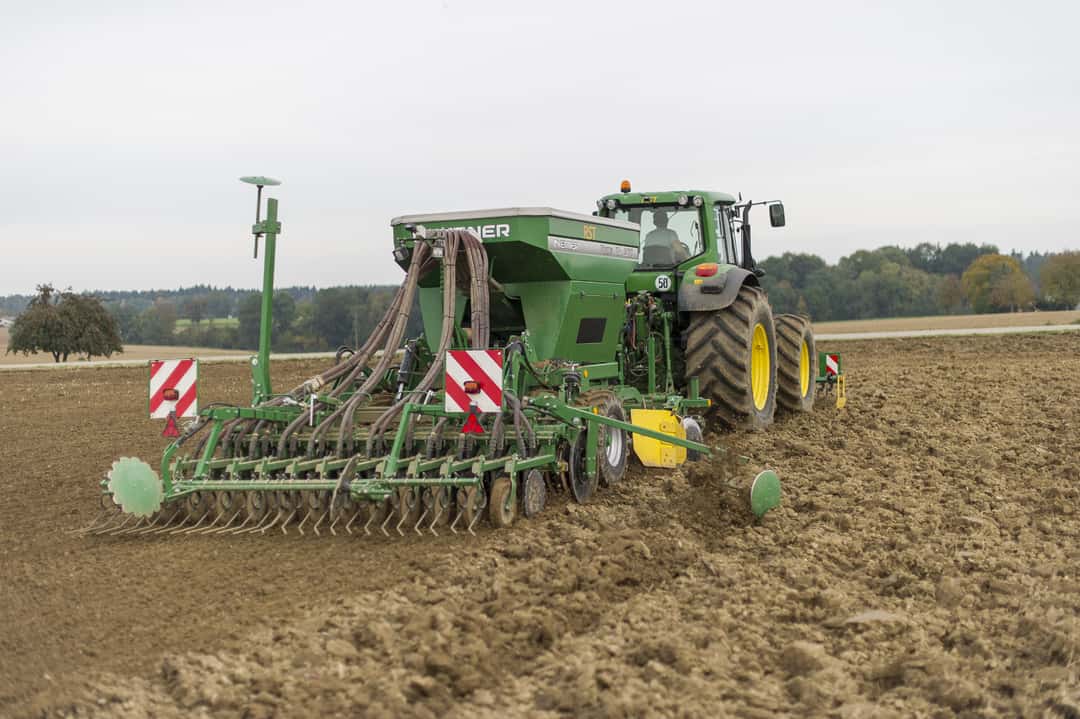 Österreich: Weizen: Die besten Sorten für den Herbstanbau