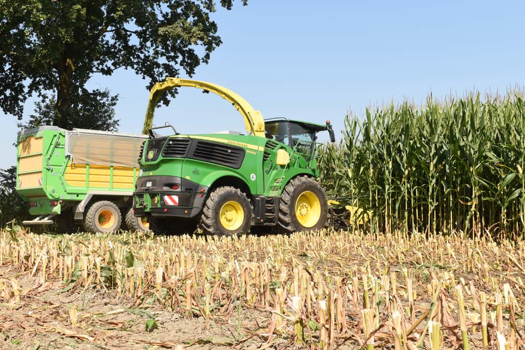Jetzt geht´s los: Die Maisernte startet! | top agrar online